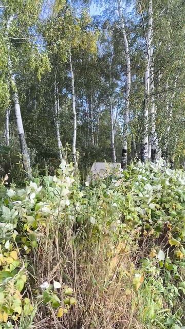 Черноисточинское #водохранилище #тагил #природа #nature #travel #отдых #красота #неморе #озеро