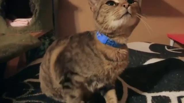 За гранью реальности. Наталья Ковалева. 2019 год