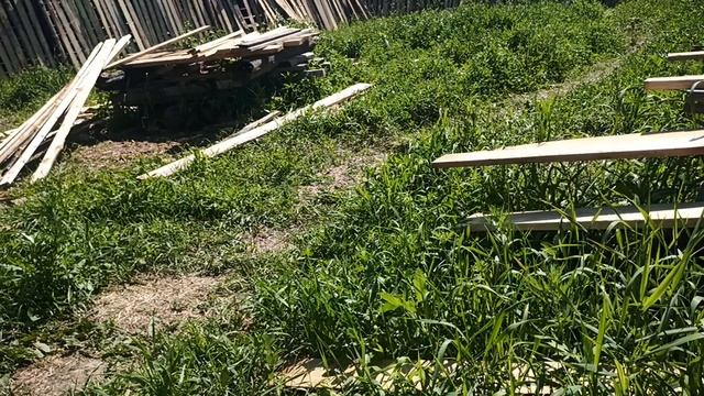 дети на скале