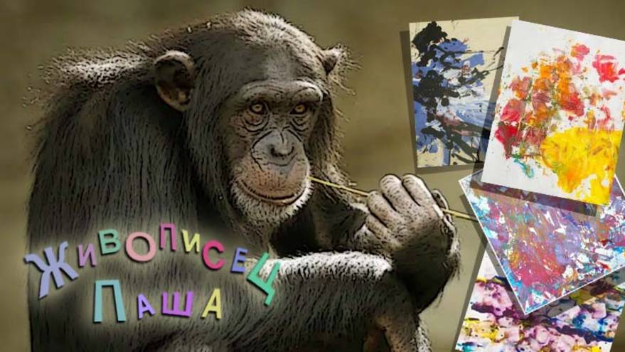 ПАША. ШИМПАНЗЕ-ЖИВОПИСЕЦ. Алматинский зоопарк