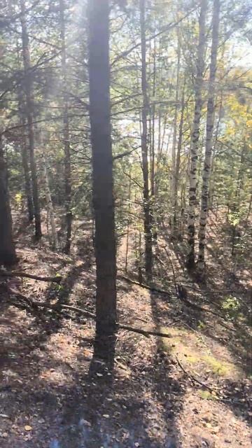 гора Заячья, в поисках горы #тагил #гора #природа #отдых #красота #travel #mountains