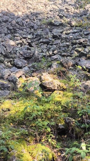 поход на гору Медведь-камень, Нижний Тагил, вверх #гора #медведькамень #тагил #природа #travel