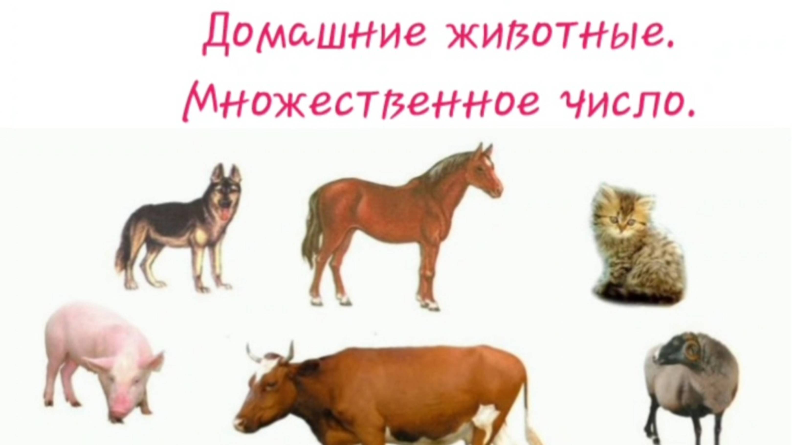 Развитие речи. Игровое видео "Домашние животные"