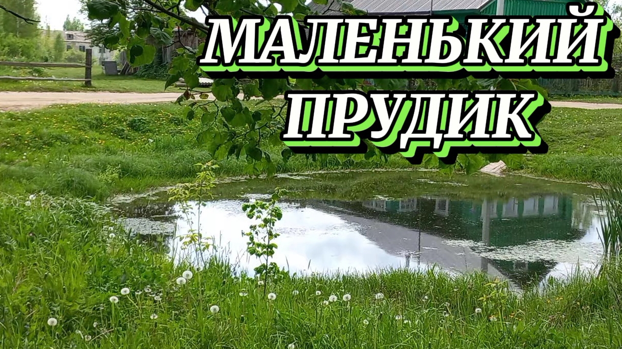МАЛЕНЬКИЙ ПРУДИК.