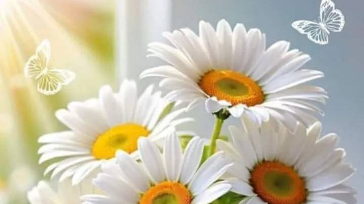 ИЮЛЬ--БЛИЗНЕЦЫ(таро)