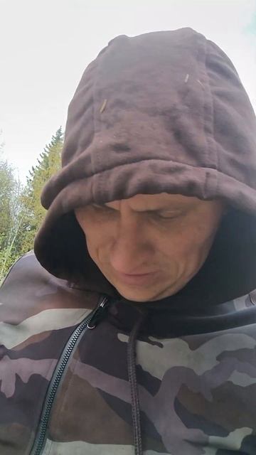 Скалы Корабль, вернулся #горы #тагил #туризм #урал #отдых #природа #красота #скалы #пещера #корабль