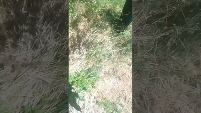 мы пошли на зб 2 часть