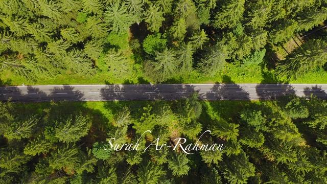 Коран и природа в формате 4К |Красивое чтение Корана|Сура 55 Ар Рахман’’|Коран формате 4К