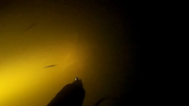 В свете жёлтых фонарей