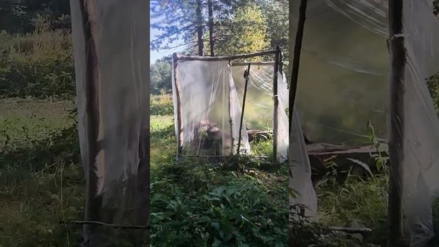 поход на гору Медведь-камень, Нижний Тагил, у подножия #гора #медведькамень #тагил #природа #travel