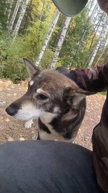 #озеро Чауж, #встреча #водохранилище #природа #отдых #красота #горы #тагил #урал #путешествия