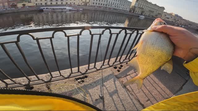 ДРОПШОТ НА ФОНТАНКЕ , ЛЕЩ НА СПИННИНГ💥💥💥