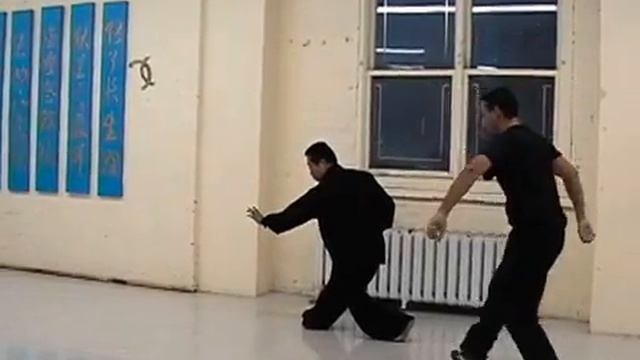 Хай Ян Обучение  Син И - 5 элементов Пи, Бен, Цзуань, Пао и Хэн