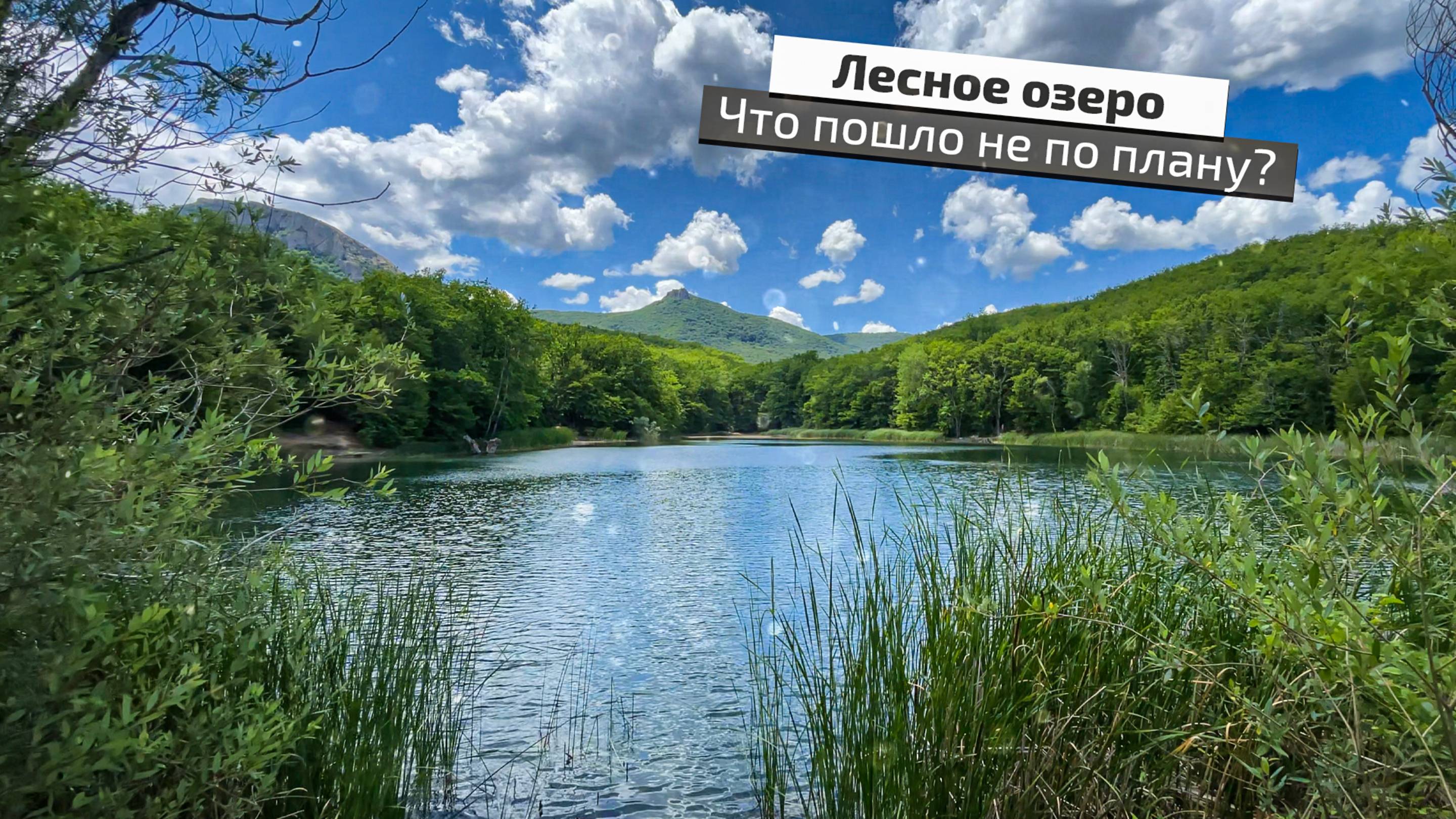 Выпуск, который пошел не по плану