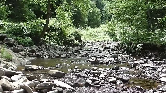 "'@" Keiko Matsui. Mystic Dance. Играет Тадеуш Конопко (аккордеон).