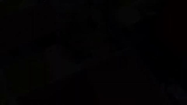 Дом на два входа, на две семьи.