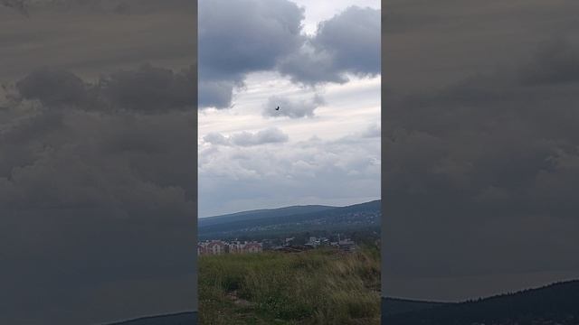 птица парит в потоке воздуха #природа #гора #тагил #красота #птица #лисьягора #чудоприроды