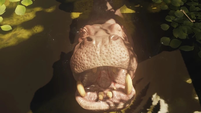 HITMAN 2" Ужин из трех блюд".