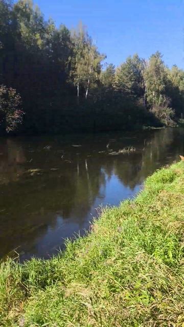 поход на гору Медведь-камень, Нижний Тагил, на берегу #гора #медведькамень #тагил #природа #travel