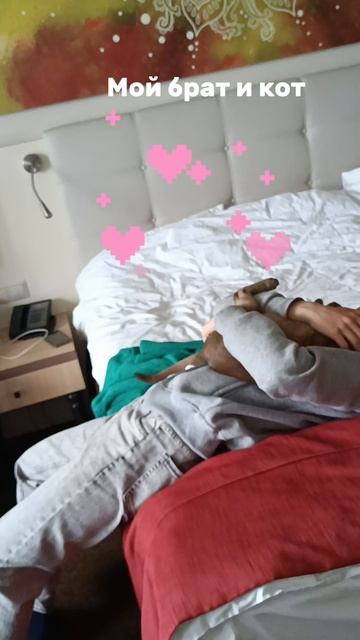 Мой брат и кот. 🥺❤