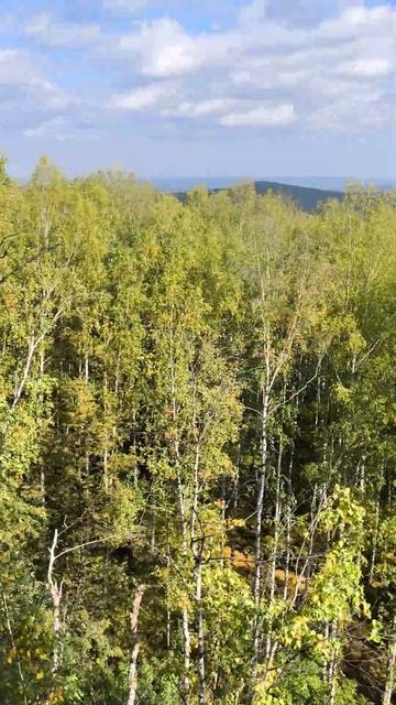 гора Дыроватик, обзор  #тагил #гора #природа #отдых #красота #travel #mountains