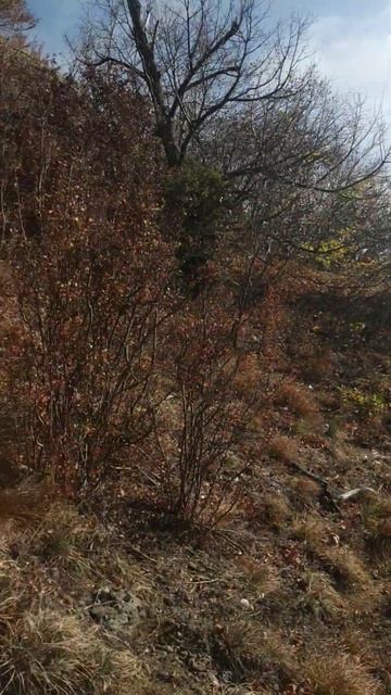 Долина приведений, Крым. подъём #крым #горы #активныйотдых #природа #красота #долинаприведений