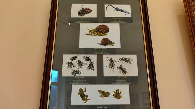 Музей-заповедник "Царицыно". 2024.