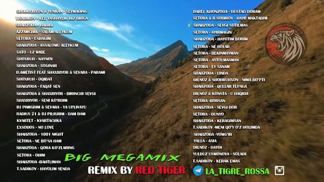 Big MegaMix by Red Tiger 2025    ( O'zbek musiqa to'plami )