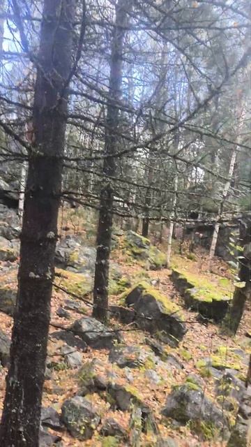 Скалы Корабль,вид снизу #горы #тагил #туризм #урал #отдых #природа #красота #скалы #пещера #корабль