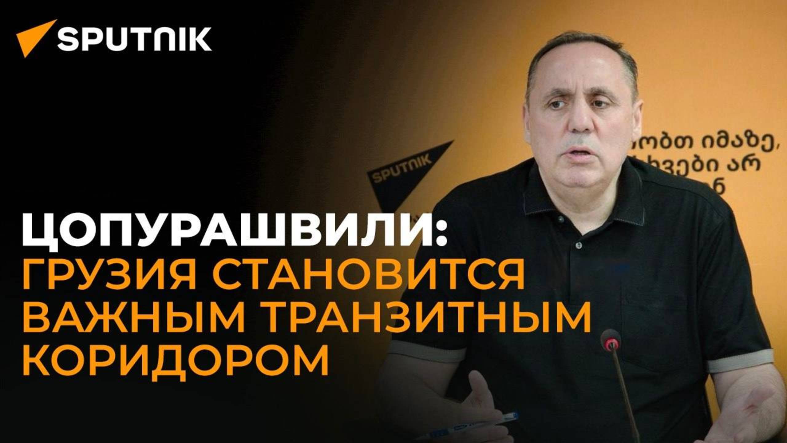 Цопурашвили: Транзитную функцию Грузии нужно правильно использовать