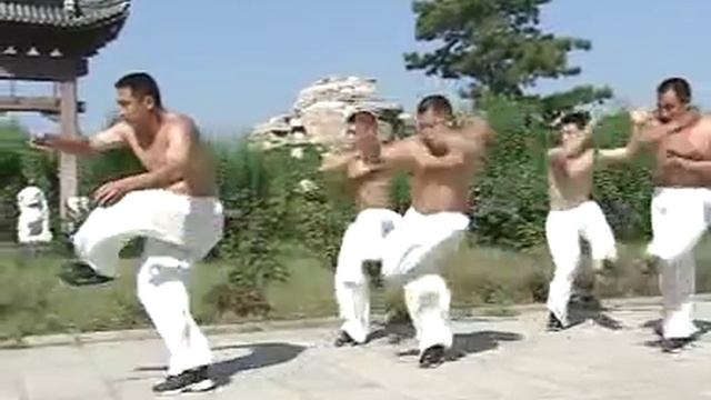 Китайская борьба Шуай Цзяо. Ван Вэньюн. Часть 1