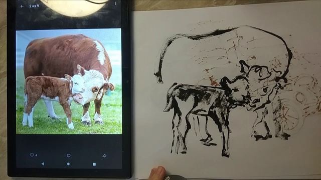 Быстрые наброски животных - коров тушью и кистью ежедневное рисование