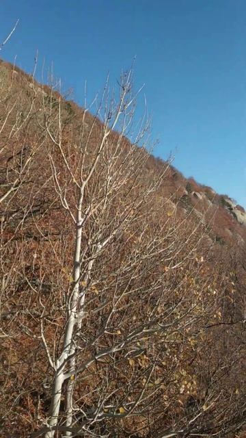 Долина приведений, Крым. всё выше #крым #горы #активныйотдых #природа #красота #долинаприведений