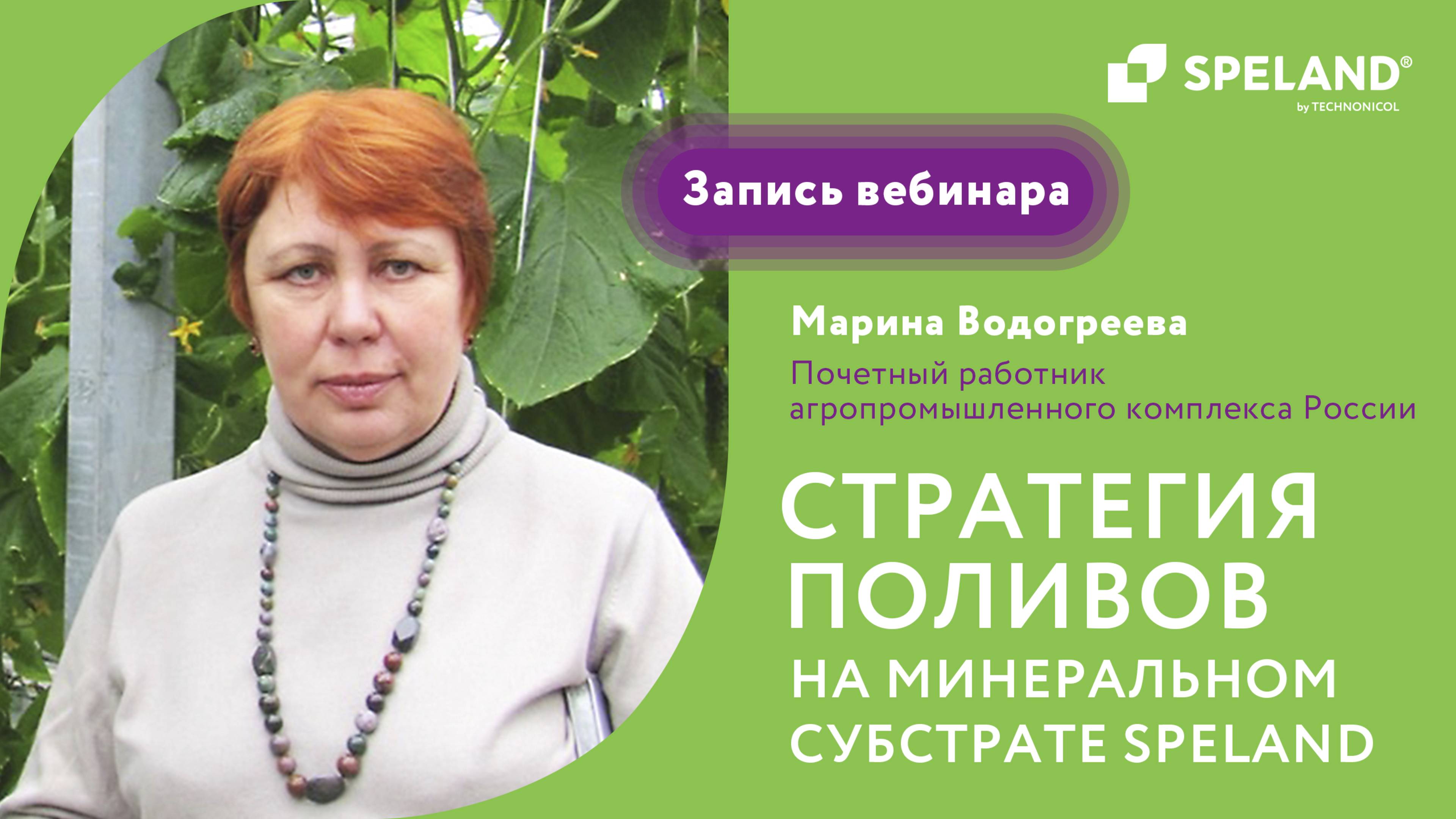 Вебинар: стратегия поливов на минеральном субстрате SPELAND