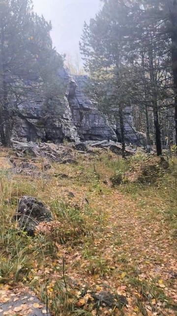 Скалы в лесу #горы #тагил #туризм #урал #отдых #природа #красота #скалы #пещера