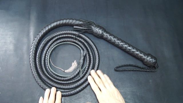 Арапник 3 м в х Гусева РО.