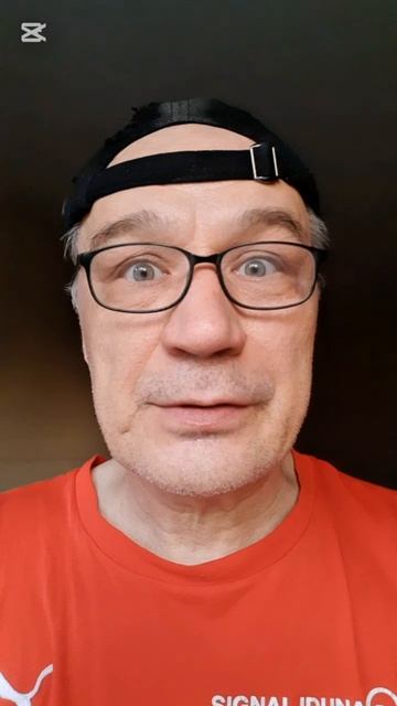 светлые или тёмные #cat #кот #энергия