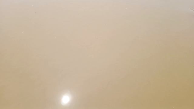 Озеро Чан превратилось в "коричневый коктейль": жители в шоке от вони