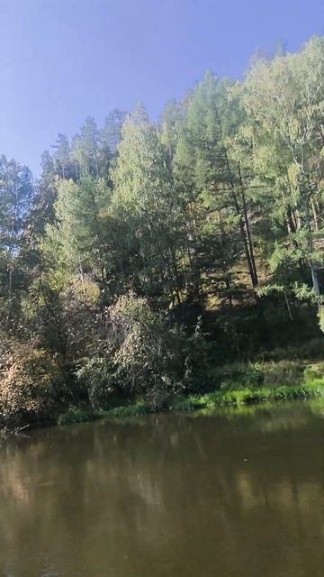 поход на гору Медведь-камень, Нижний Тагил, НЕТ МОСТА #гора #медведькамень #тагил #природа #travel