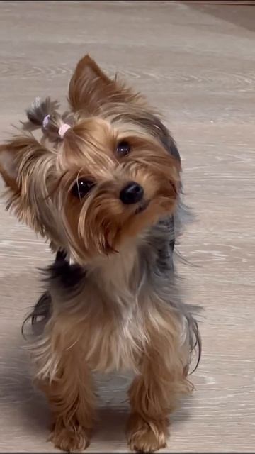 Герда умеет улыбаться и внимательно слушать