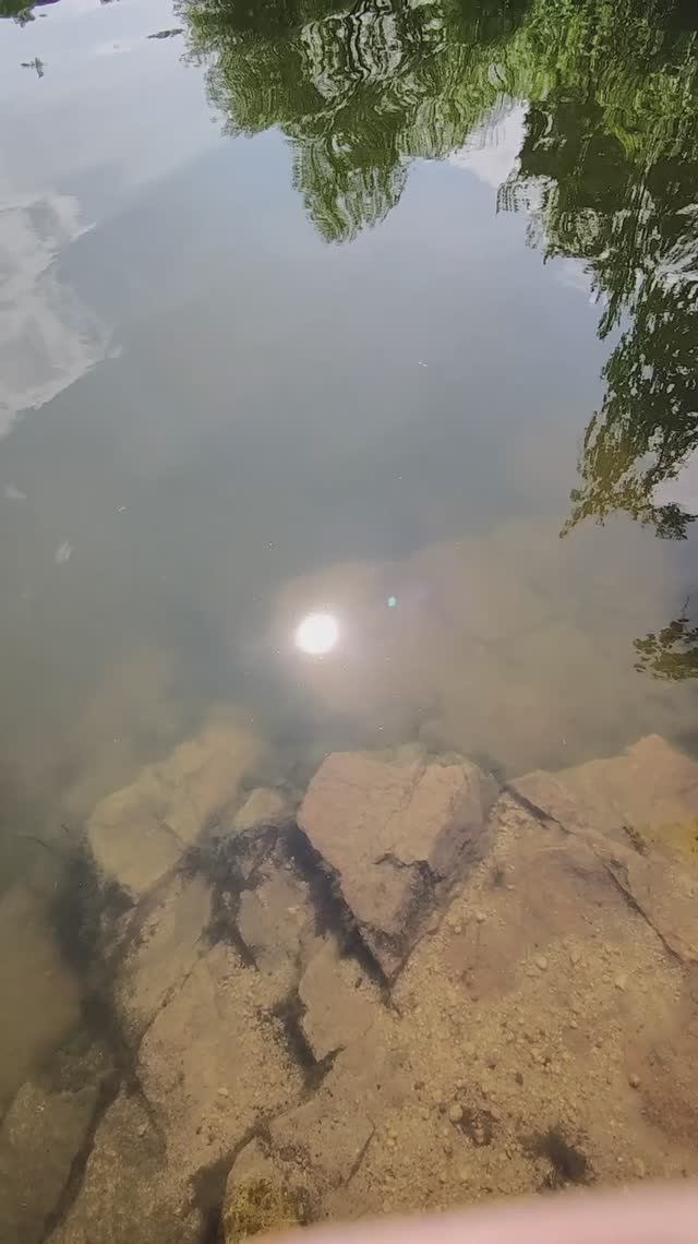 Челябинск. Парк, Каменный карьер. Нежная,трогательная мелодия 26.06.2025г. Берегите природу люди!!!