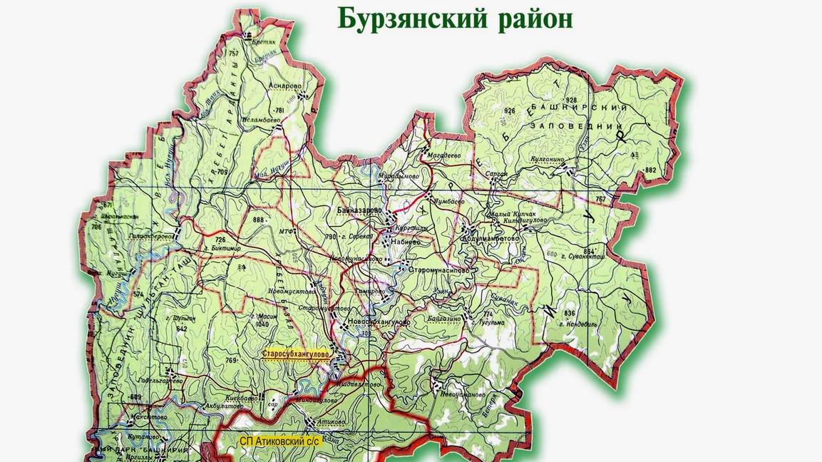 Бөрйән нәҫеле