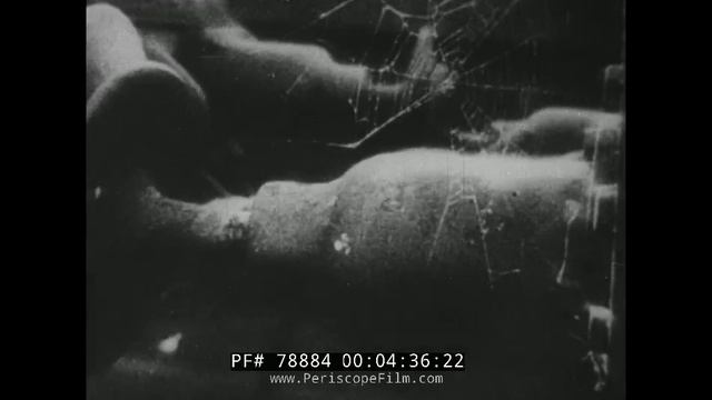 интернационал коминтерн