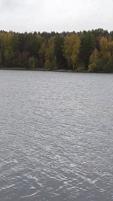 #озеро Чауж #тагил #туризм #рыбалка #природа #горы #урал #водохранилище #отдых #красота