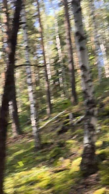 гора Чауж. #тагил #гора #природа #отдых #красота #travel #mountains