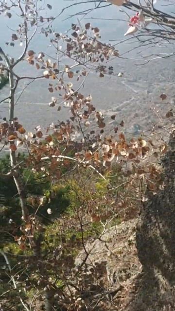 Долина приведений, Крым. Восхождение #крым #горы #активныйотдых #природа #красота #долинаприведений