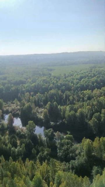 поход на гору Медведь-камень, Нижний Тагил, #офигенно #гора #медведькамень #тагил #природа #travel