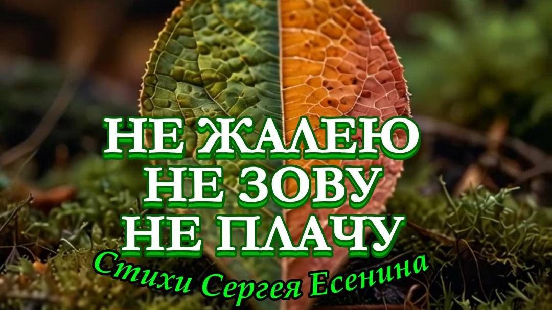 Нейроклип " Не жалею, не зову, не плачу..." стихи С. Есенин (1922 г.) версия 2.