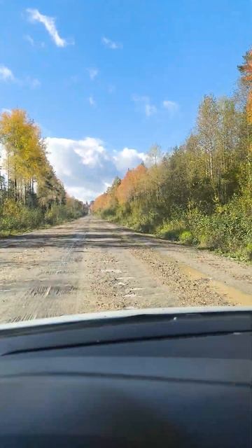 Уральские дороги #тагил #горы #туризм #природа #урал #красота #отдых