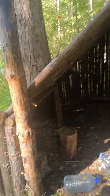 поход на гору Медведь-камень, Нижний Тагил, хижина #гора #медведькамень #тагил #природа #travel